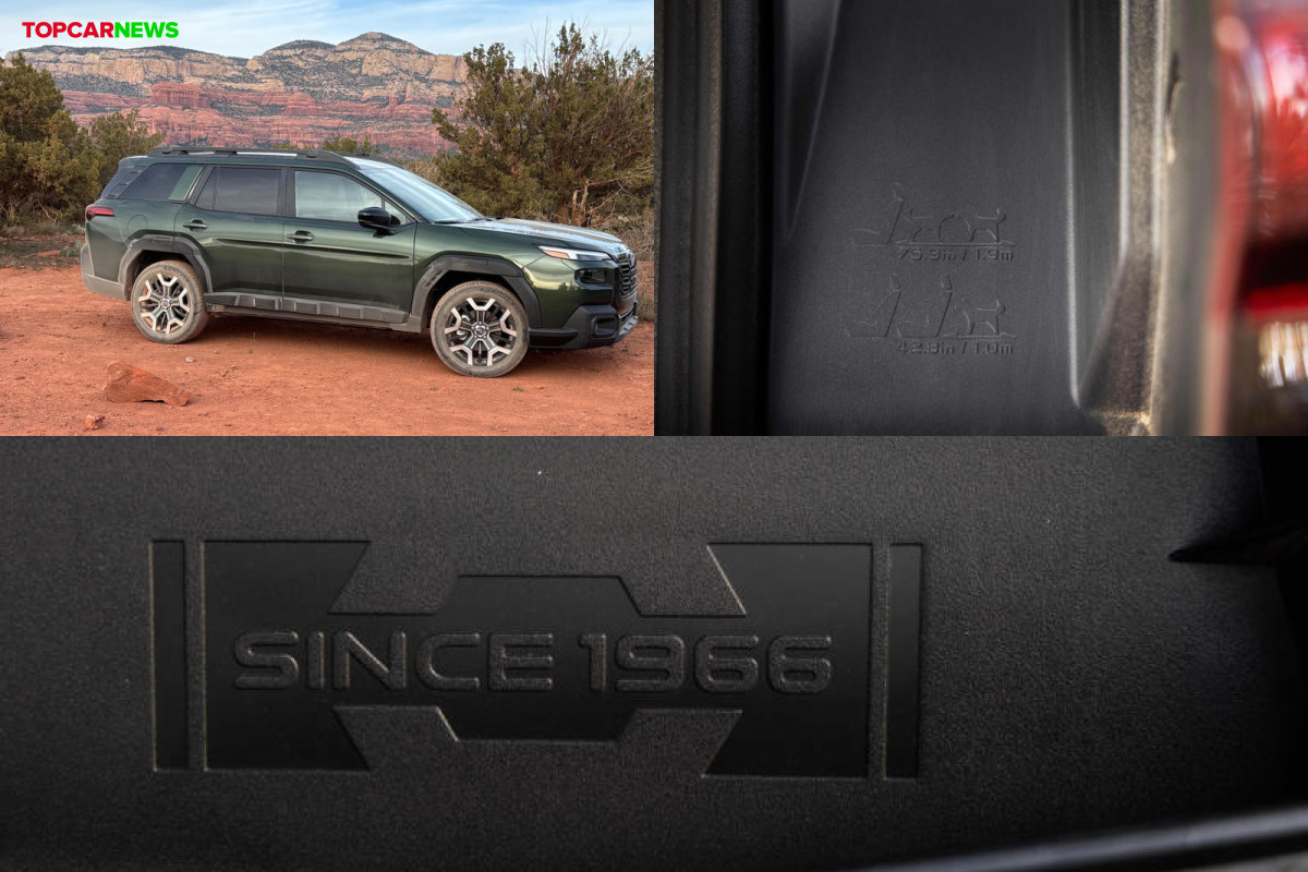 Did you hear the one about the Subaru Outback and the shark? | Subaru ...